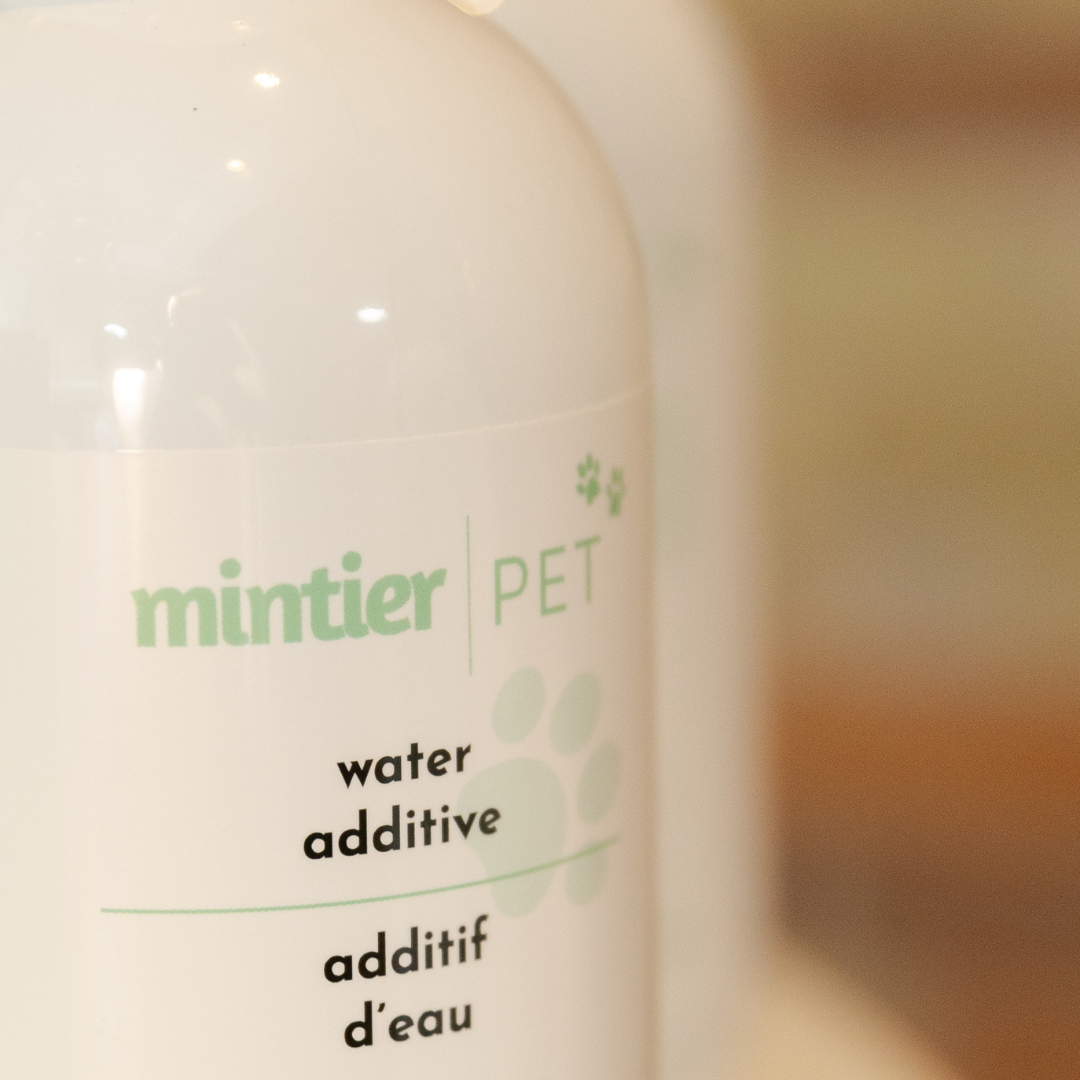 Pet Water Additive with Hyaluronic Acid – Mintier
